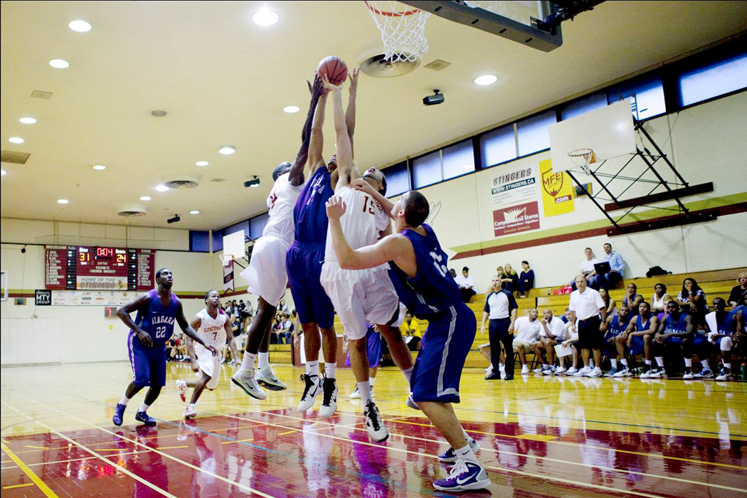 Eagles Fly Into Stingers Territory | Sports – The Link