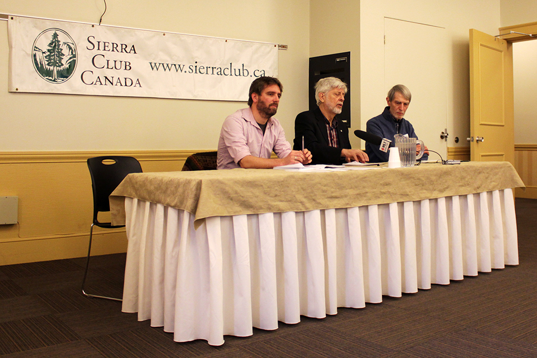 Environmental Groups Appeal to Montreal to Preserve Natural Spaces ...