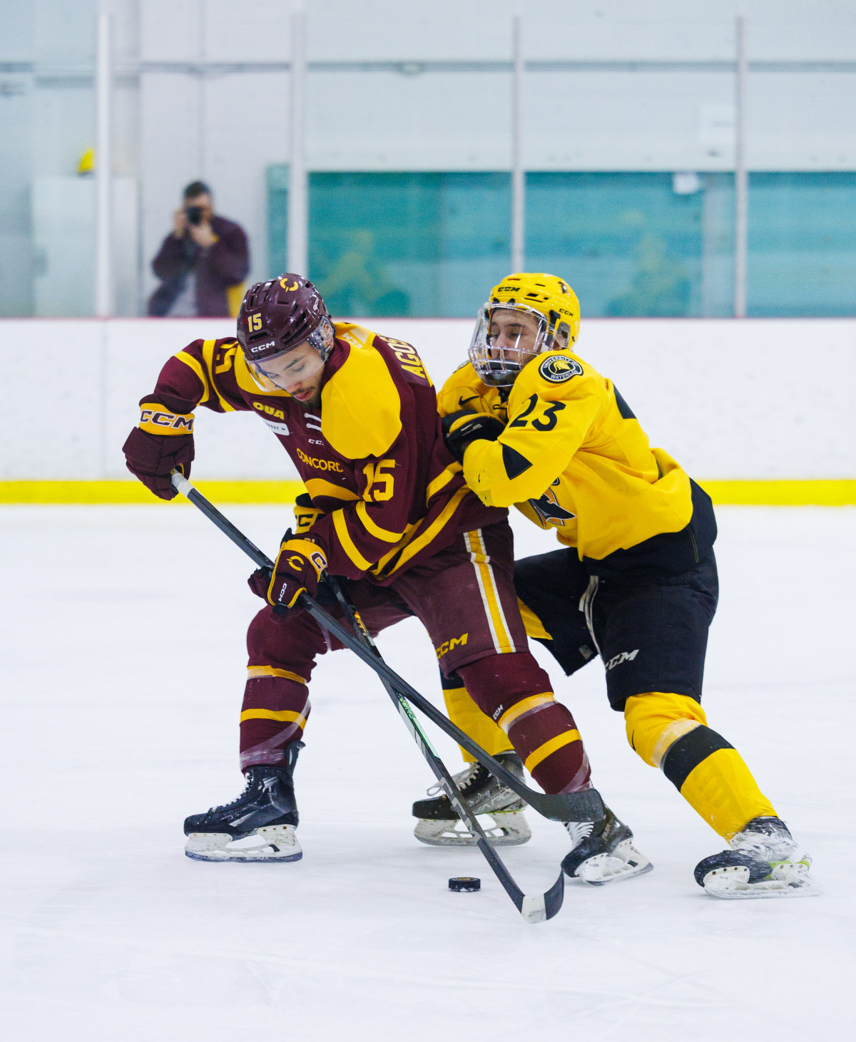Stingers 7, Warriors 2: Concordia clamps down Waterloo | Sports – The Link