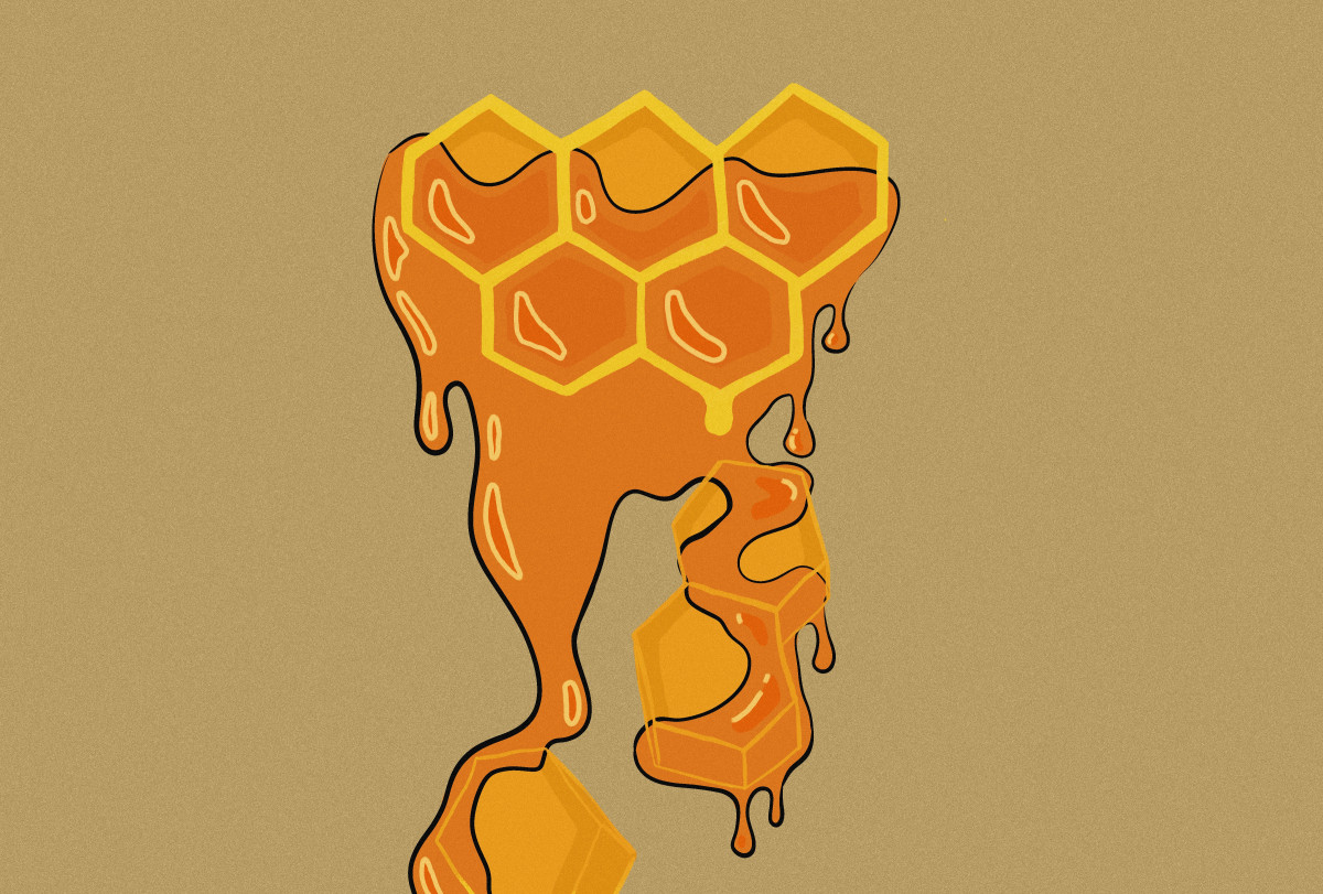 Is the CSU transparent? | News – The Link