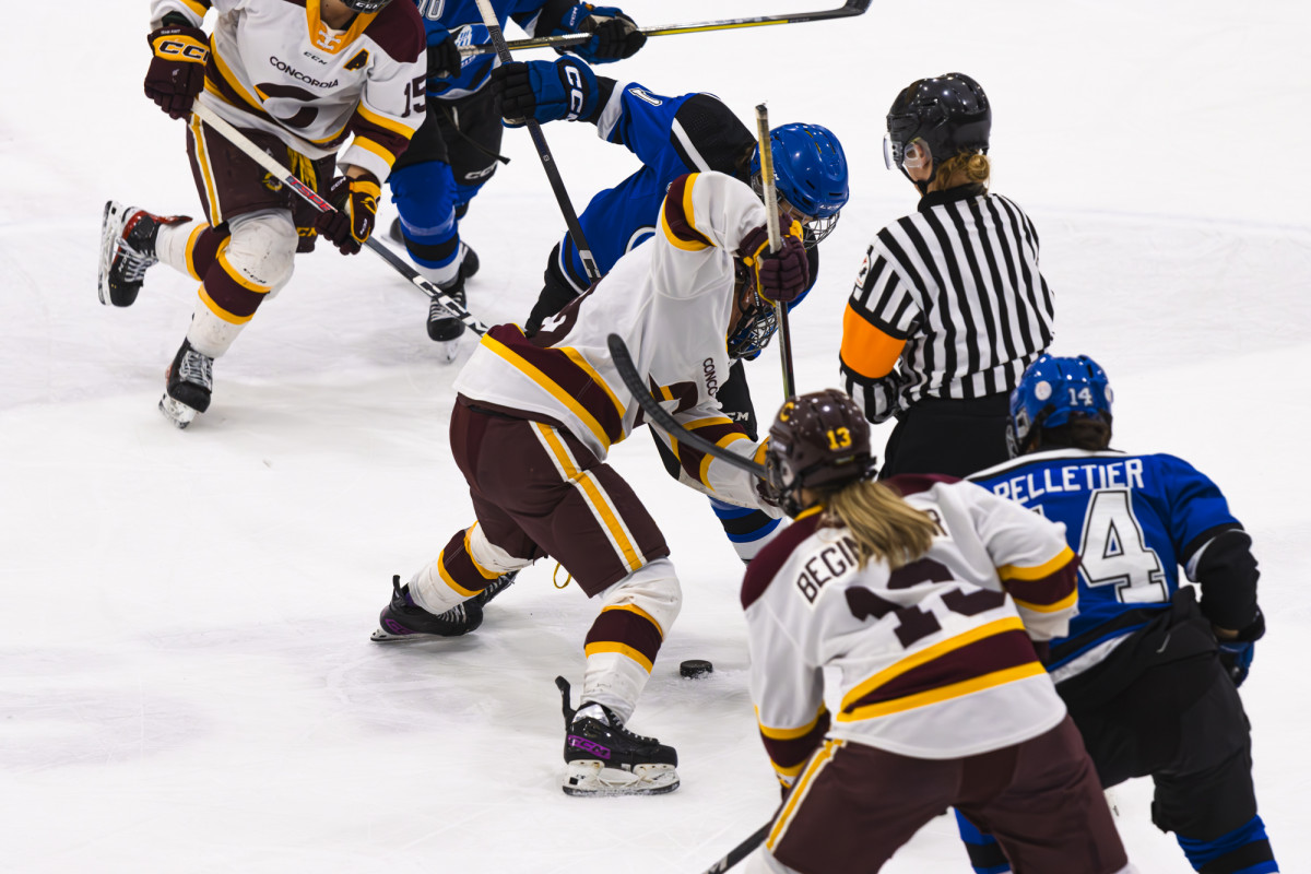 Carabins 3, Stingers 2: Late goal gives UdeM series lead | Sports – The ...